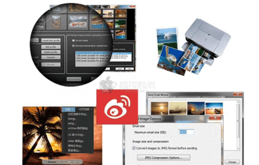 ACDSee Pro _ Mac魏叔