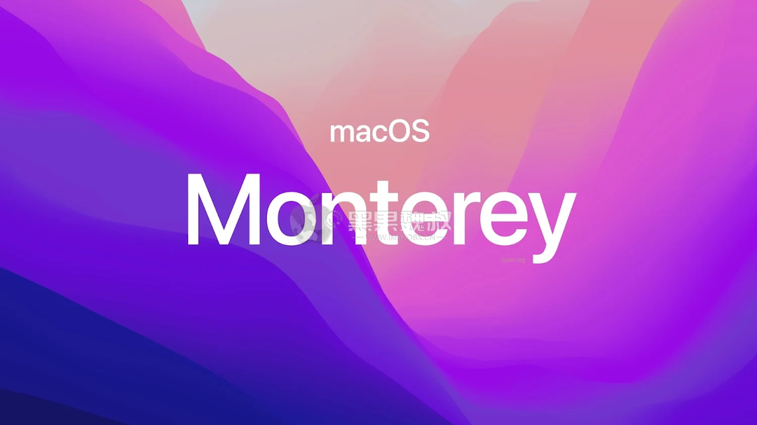 macOS Monterey 12.6.1 (21G217) With OpenCore 0.8.6 and winPE双引导分区原版镜像 ...